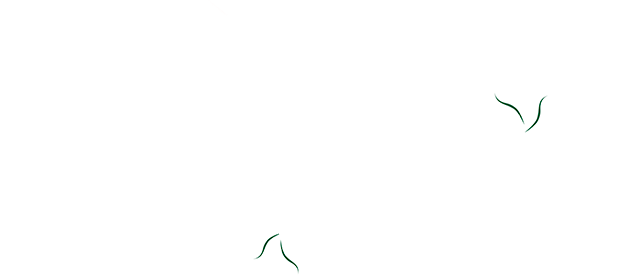 Ancera Verde - ANCERA