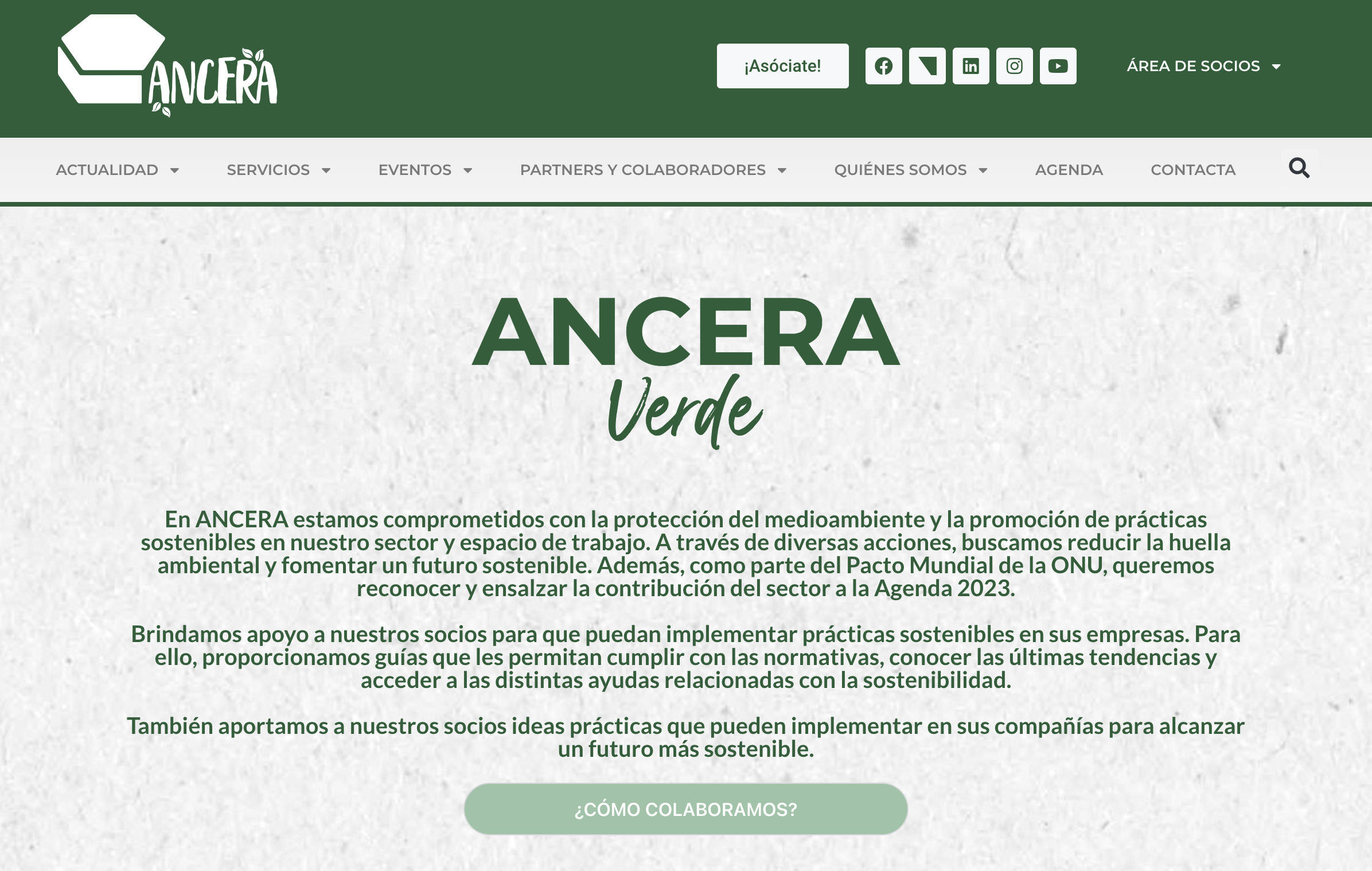 ANCERA Verde: compromiso con la sostenibilidad en el recambio - ANCERA